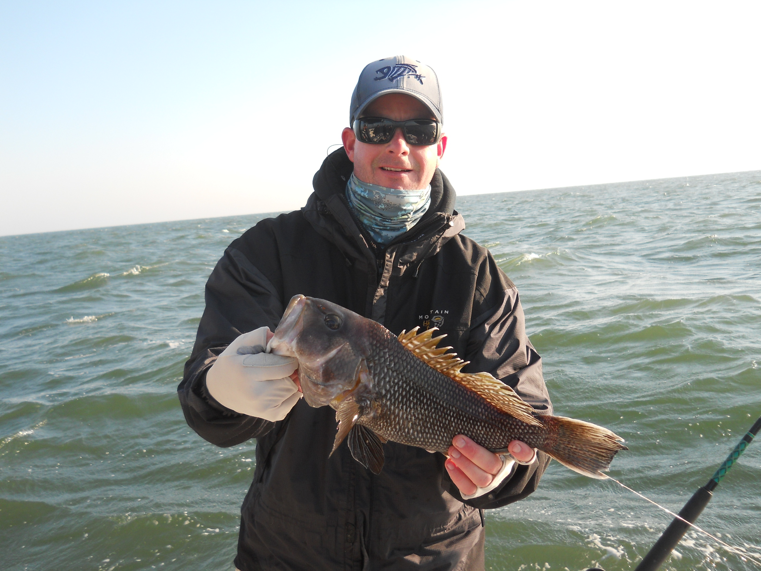 Black Sea Bass Fishing Hiton Head Fishing Adventures Black Sea Bass Fishing Hiton Head Fishing Adventures